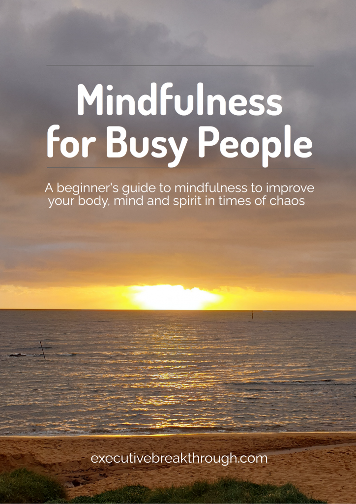 Mindfulness for Busy People – a beginner’s guide to mindfulness to ...