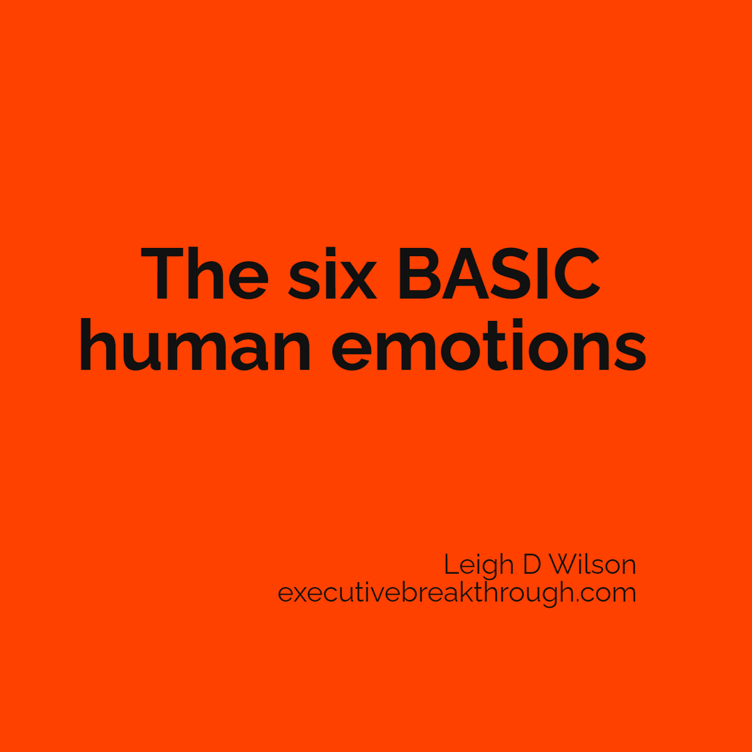 The Six Basic Human Emotions